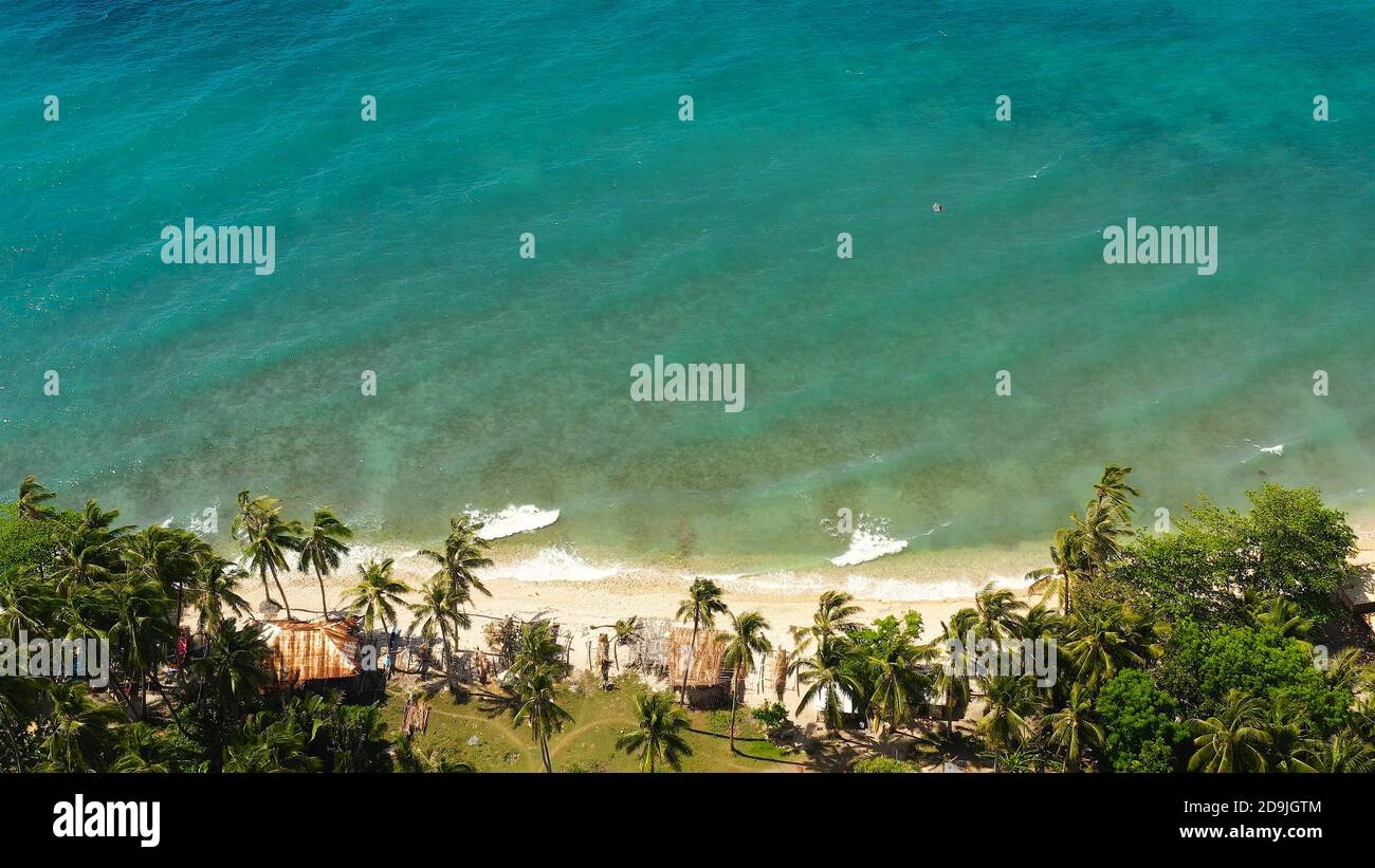 Aerial top view on sand beach,palm tree and ocean. Sandy beach and ...