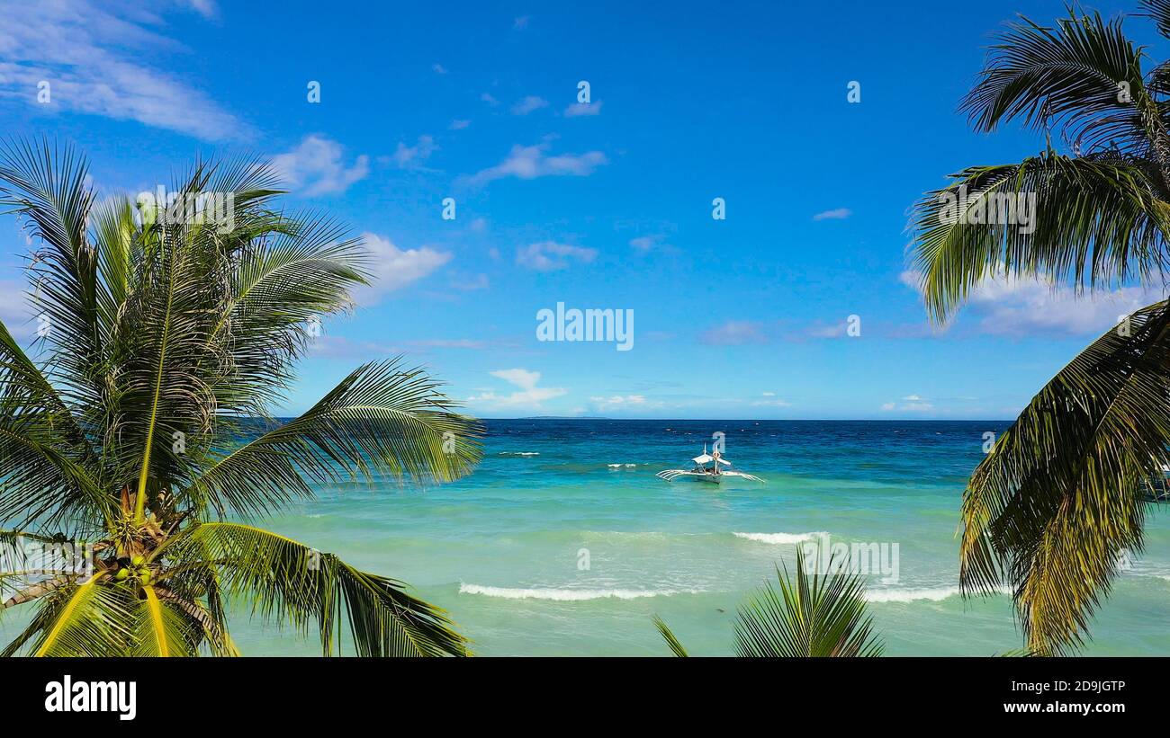 Beautiful tropical beach with white sand, palm trees, turquoise ocean ...