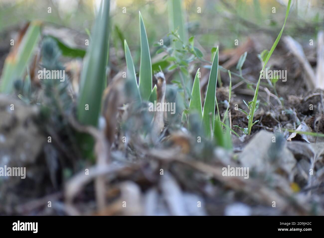 The new seeds are ready to grow always in Sapporo Japan Stock Photo - Alamy