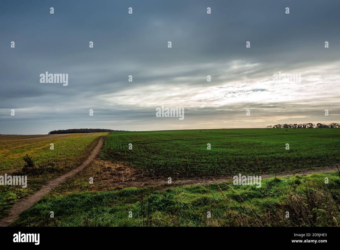 Public footpath leading up a hill in Yorkshire, England Stock Photo - Alamy
