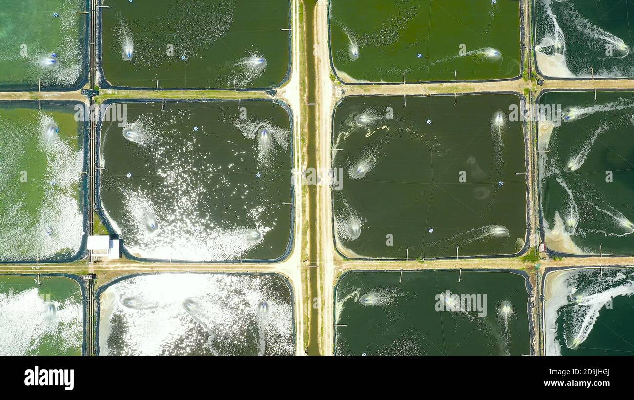 Prawn farm with aerator pump view from above. Bohol, Philippines. The ...