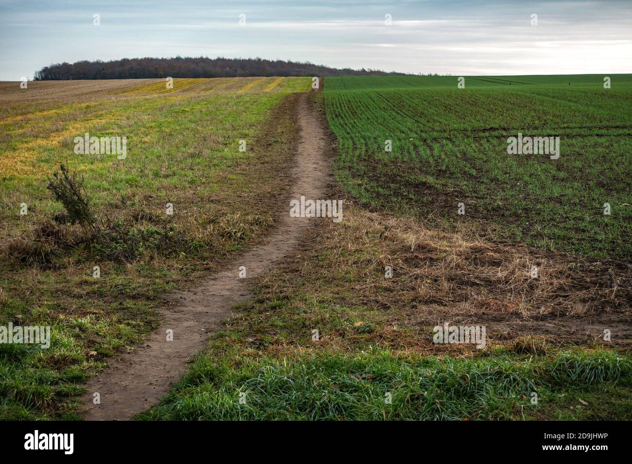 Public Footpath Across A Field High Resolution Stock Photography and ...