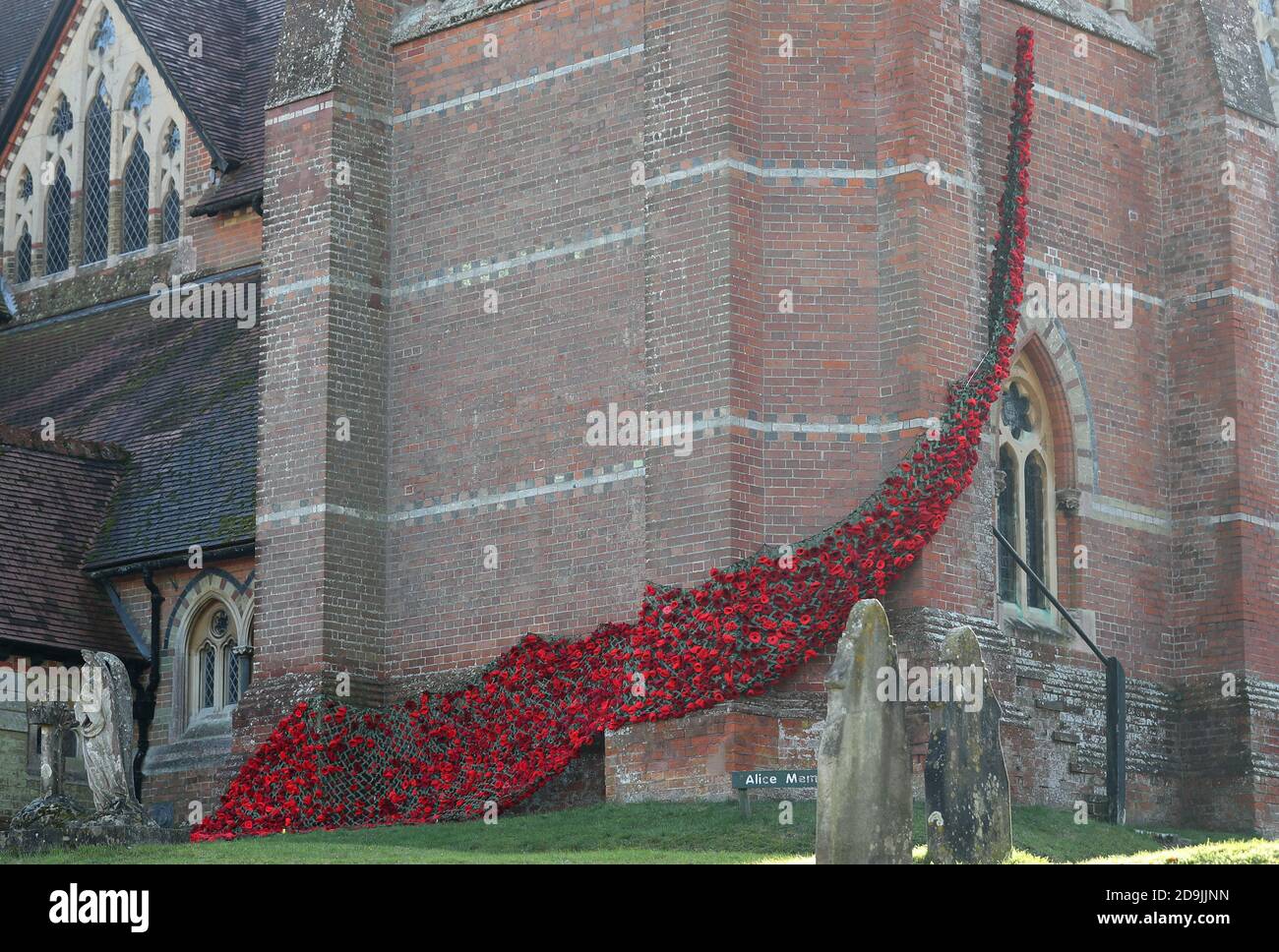 Hand knitted poppies creating 'A Fall of Poppies for the Fallen' hang ...