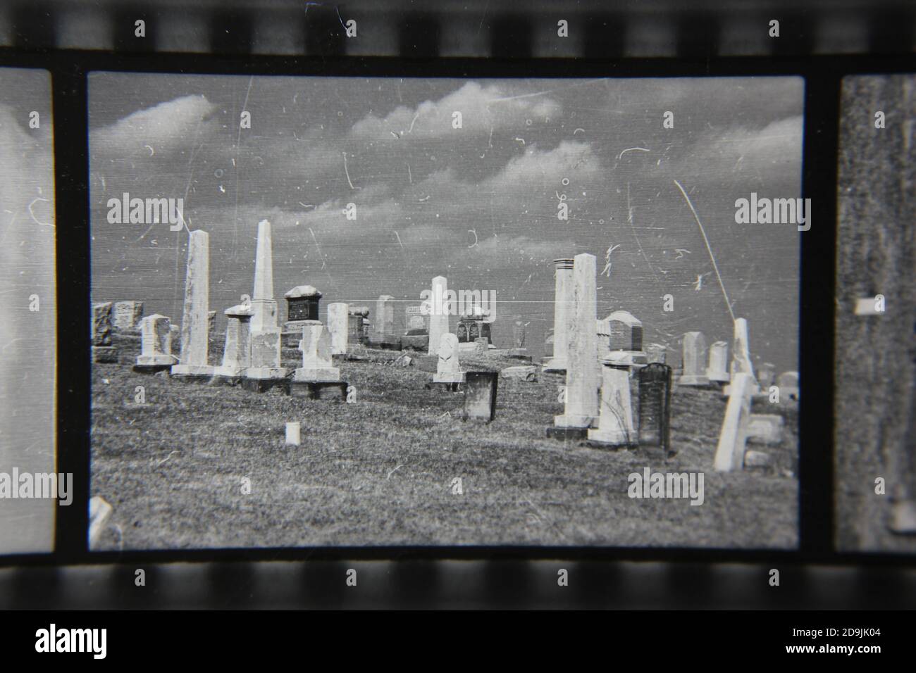Fine 1970s vintage black and white photography of a cemetery full of ...