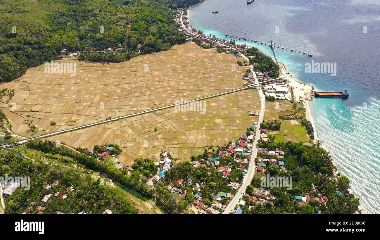 Farming and growing plants in rural areas of Bohol, Philippines Stock ...