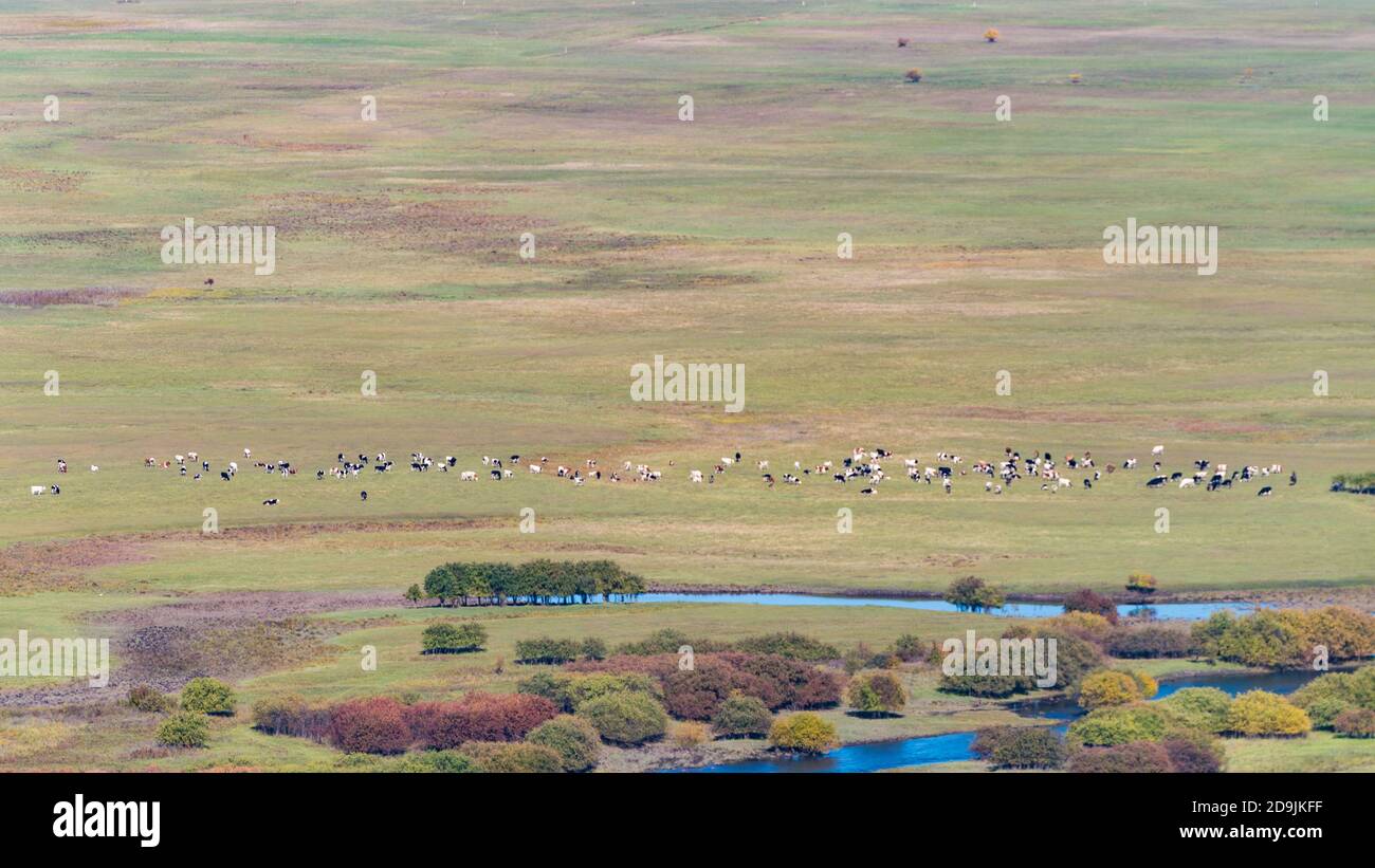Aerial view of the beautiful autumn scenery in national wetland park in ...