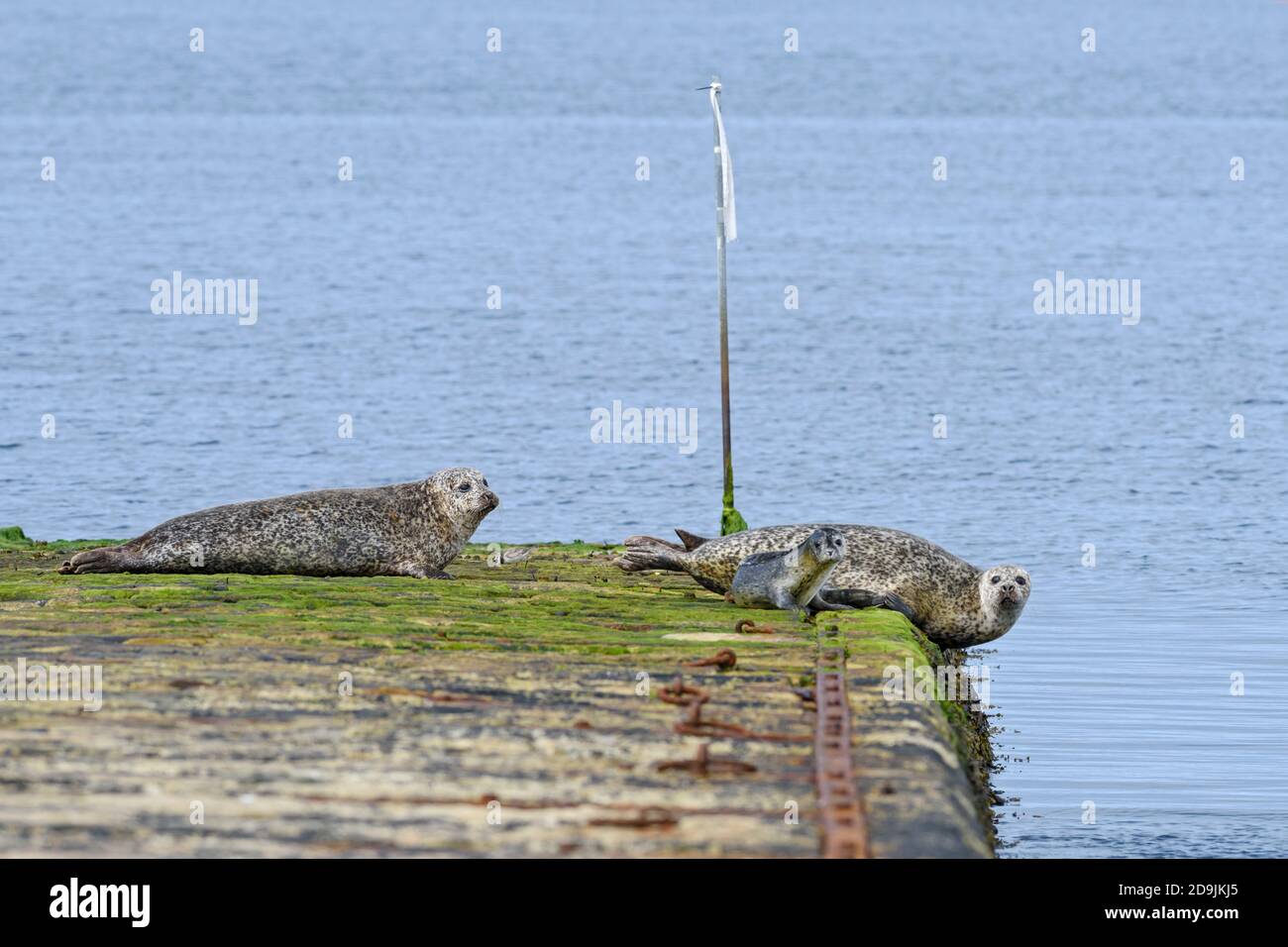 Coastlines of the northern hemisphere hi-res stock photography and ...