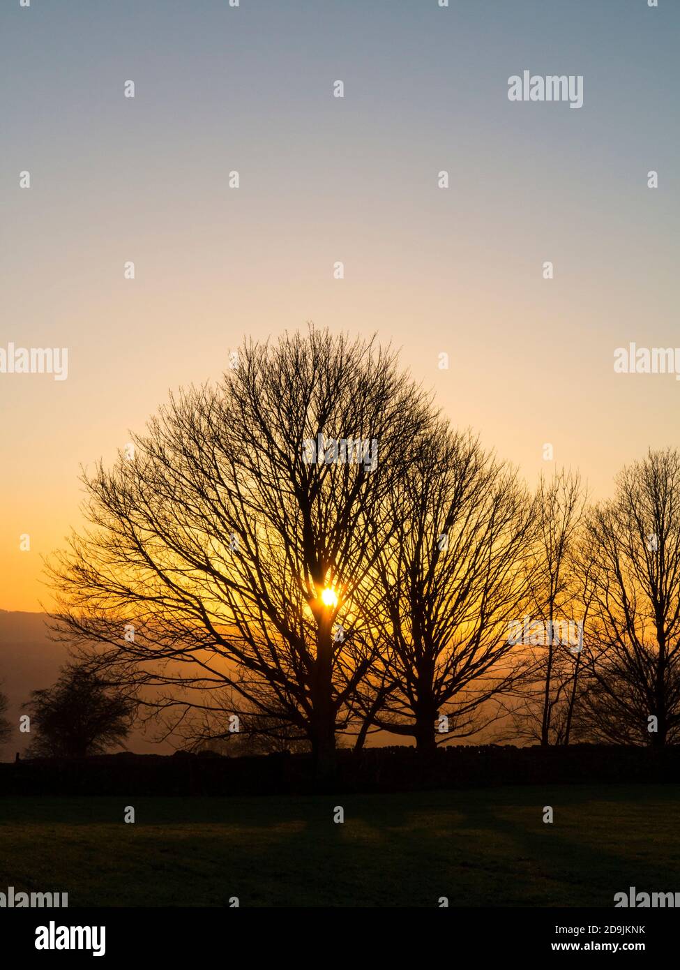 Winter sunset with orange sky and sun visible behind silhouetted trees ...