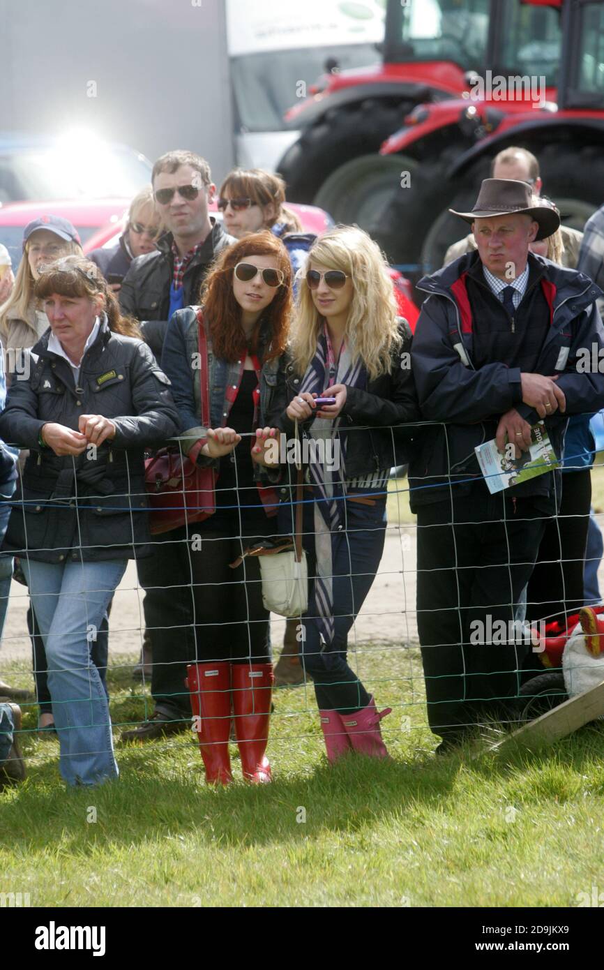 Ayr Agricultural Cattle Show, Ayrshire Scotland. Uk held at Ayr ...