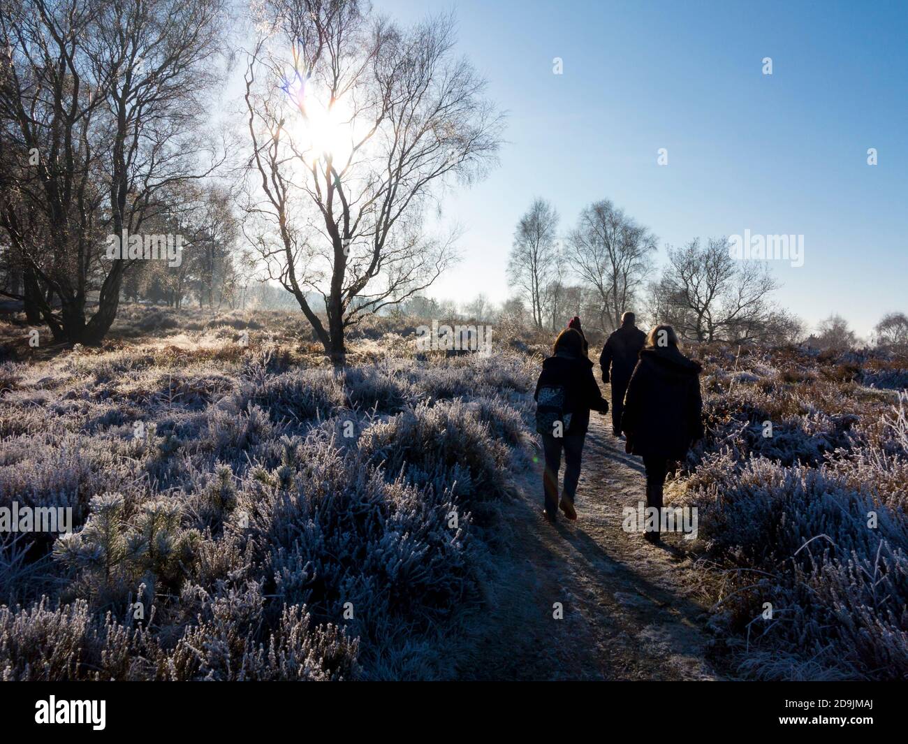 Group of people enjoying a winter walk in bright sunshine with frost on ...