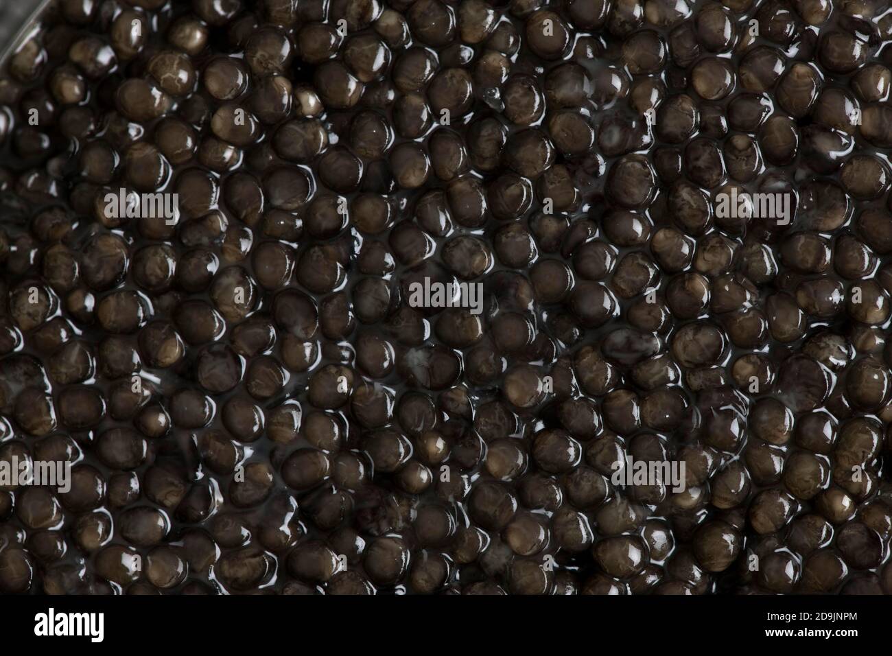 CAVIAR, STURGEON'S EGGS Stock Photo - Alamy