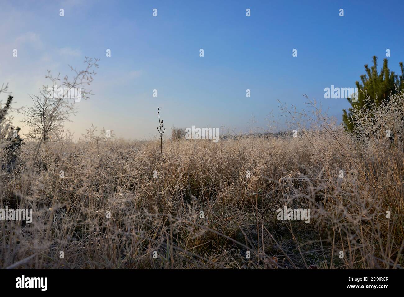 A beautiful frosty morning hi-res stock photography and images - Alamy