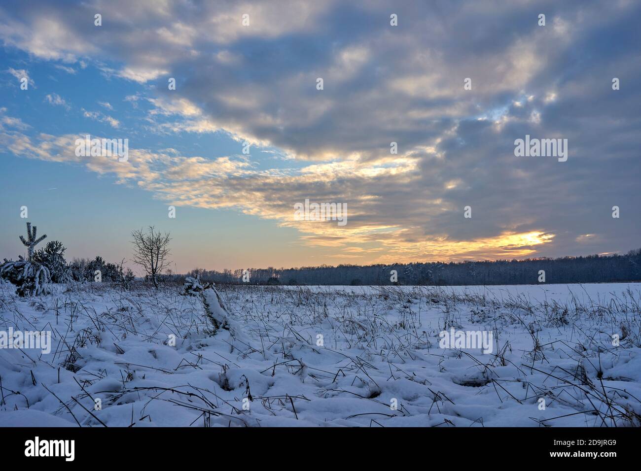 cold snowy sunset day countryside Stock Photo - Alamy