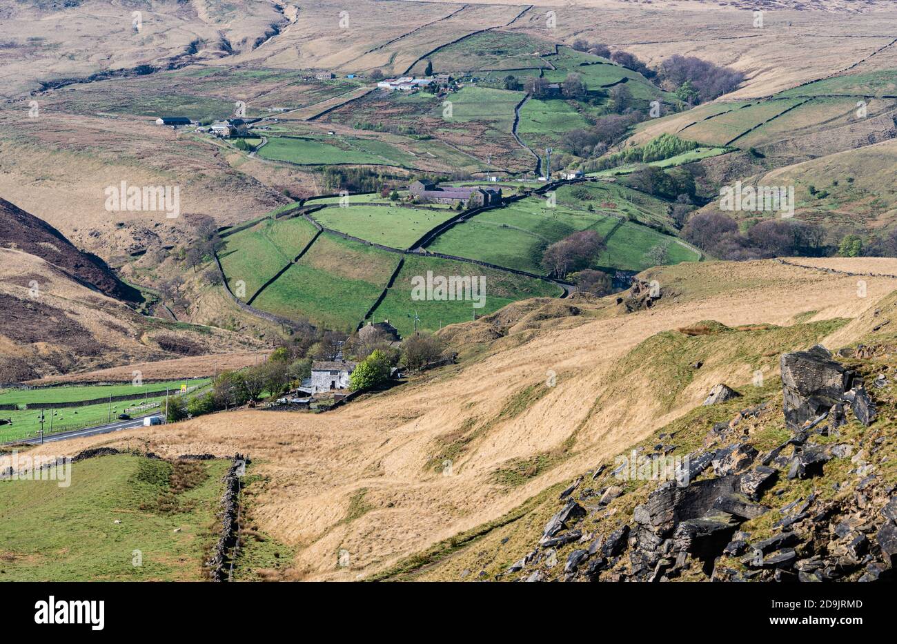 Green owlers hi-res stock photography and images - Alamy