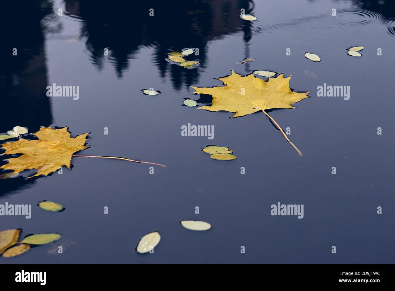 Cold rainy concept hi-res stock photography and images - Alamy