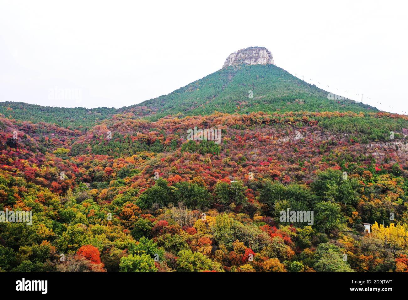 Aerial view of the beautiful autumn scenery in Baodugu National Forest ...