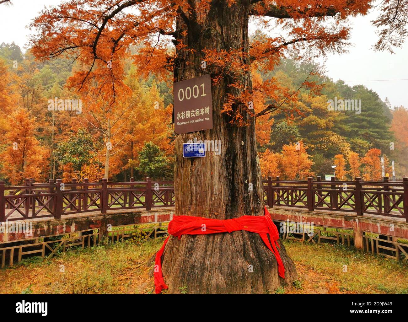 Enshi Tujia Miao Autonomous Prefecture High Resolution Stock ...