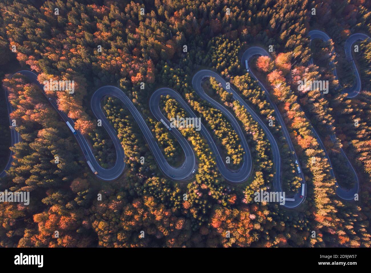 Aerial view of a serpent road at Cheia, Romania, in the heart of ...