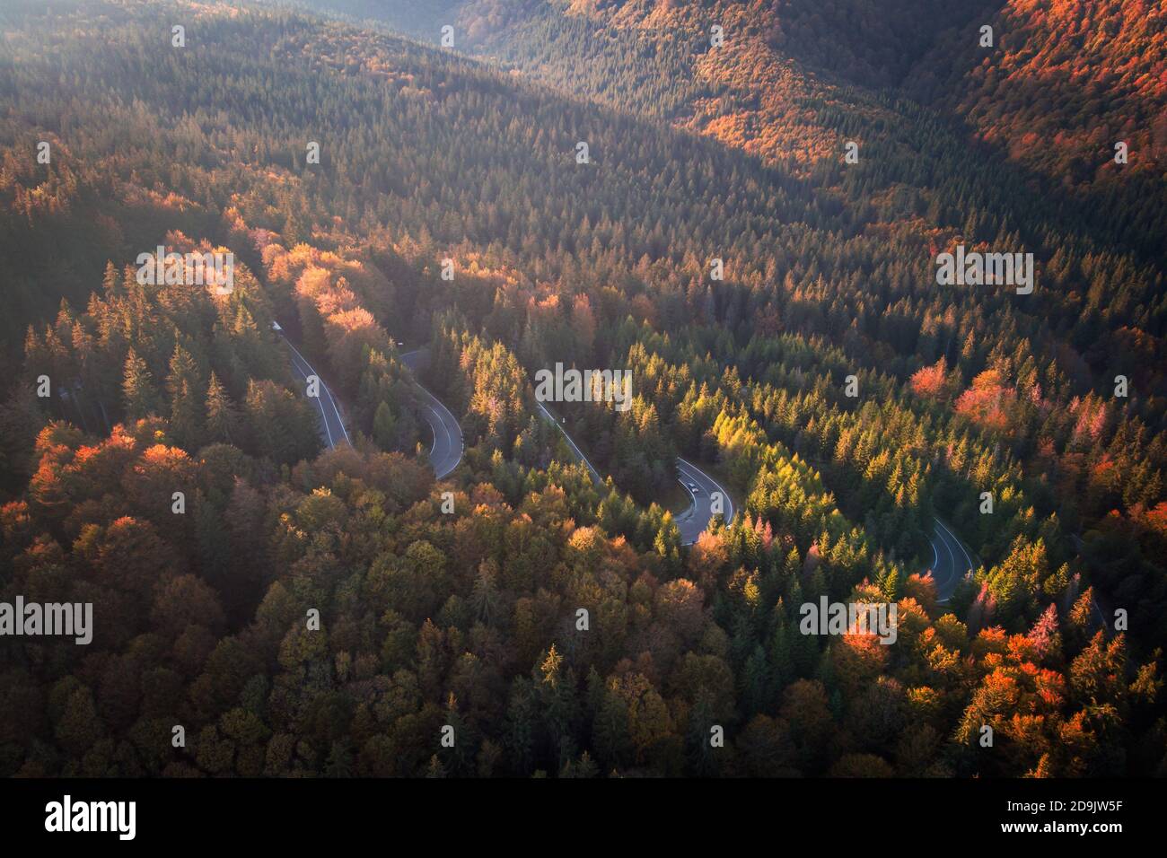 Aerial view of a serpent road at Cheia, Romania, in the heart of ...
