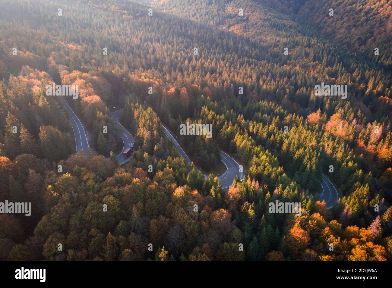 Aerial view of a serpent road at Cheia, Romania, in the heart of ...