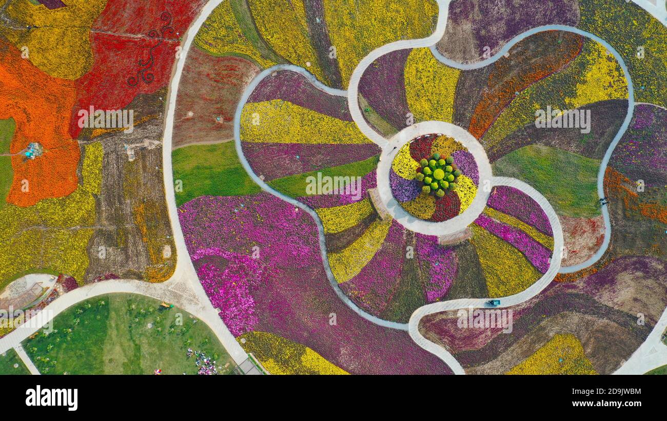 Aerial view of the flower sea in Kaifeng city, central China's Henan ...