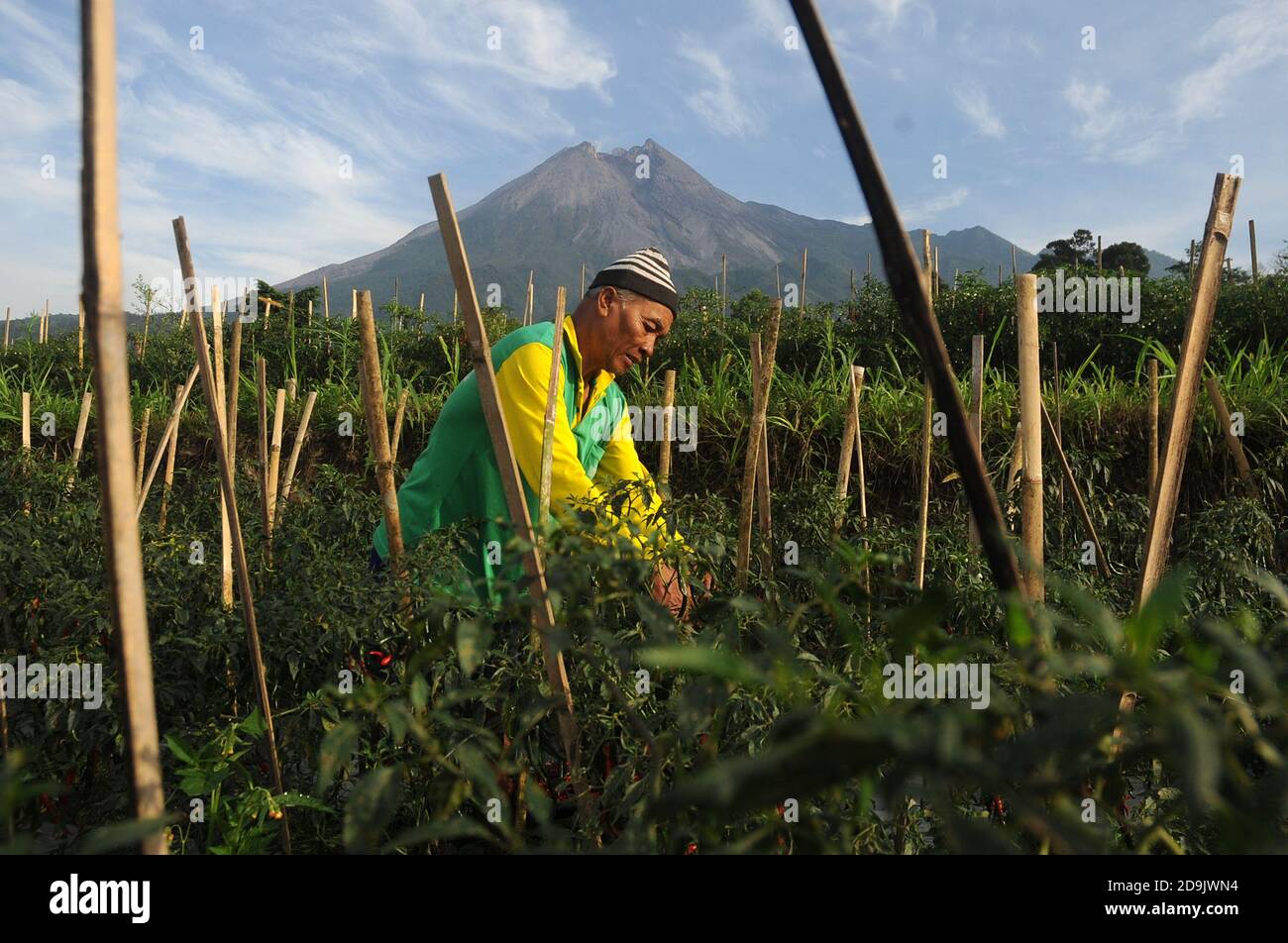 Farmer level hi-res stock photography and images - Alamy