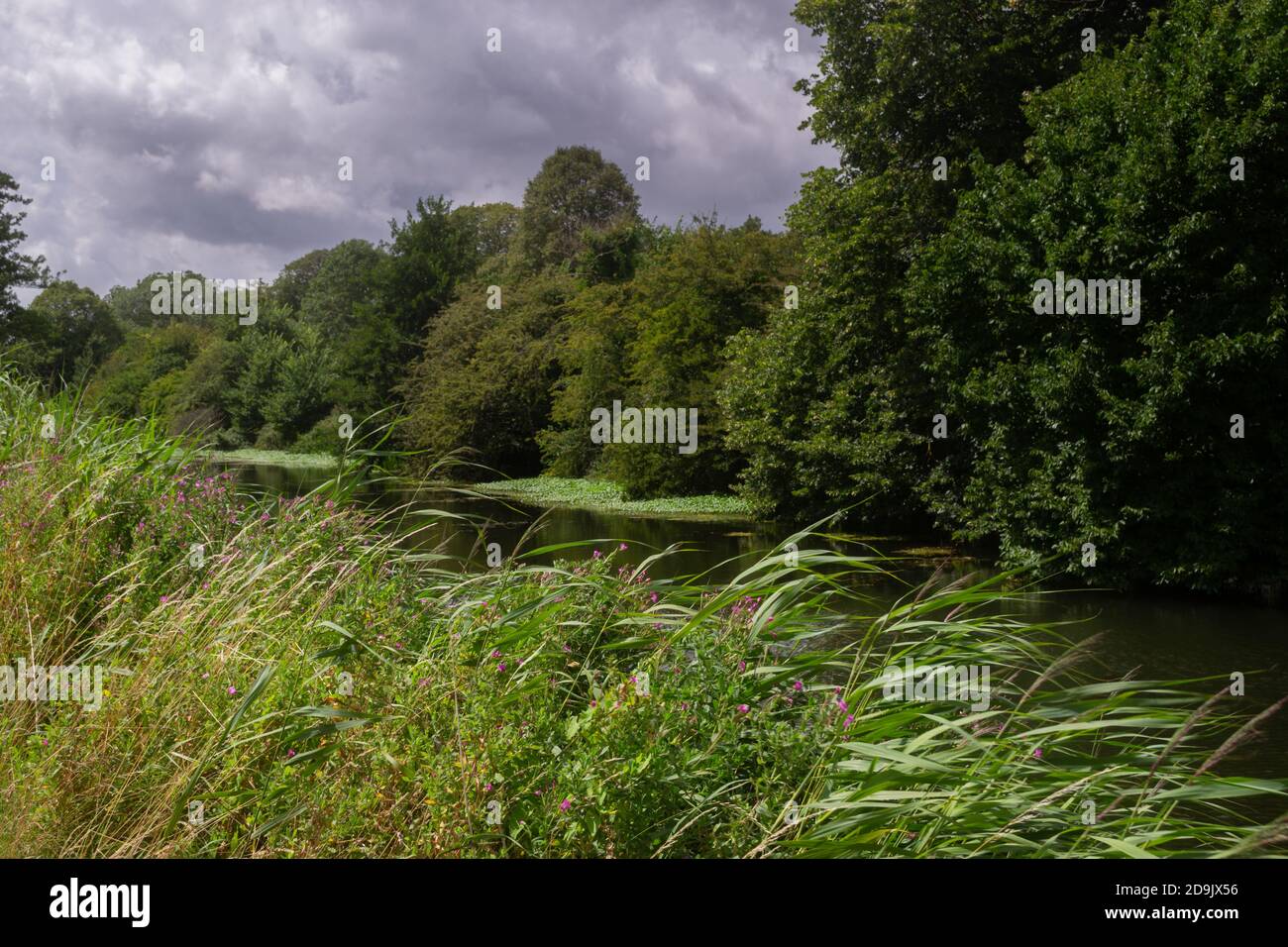 The royal military canal hi-res stock photography and images - Alamy