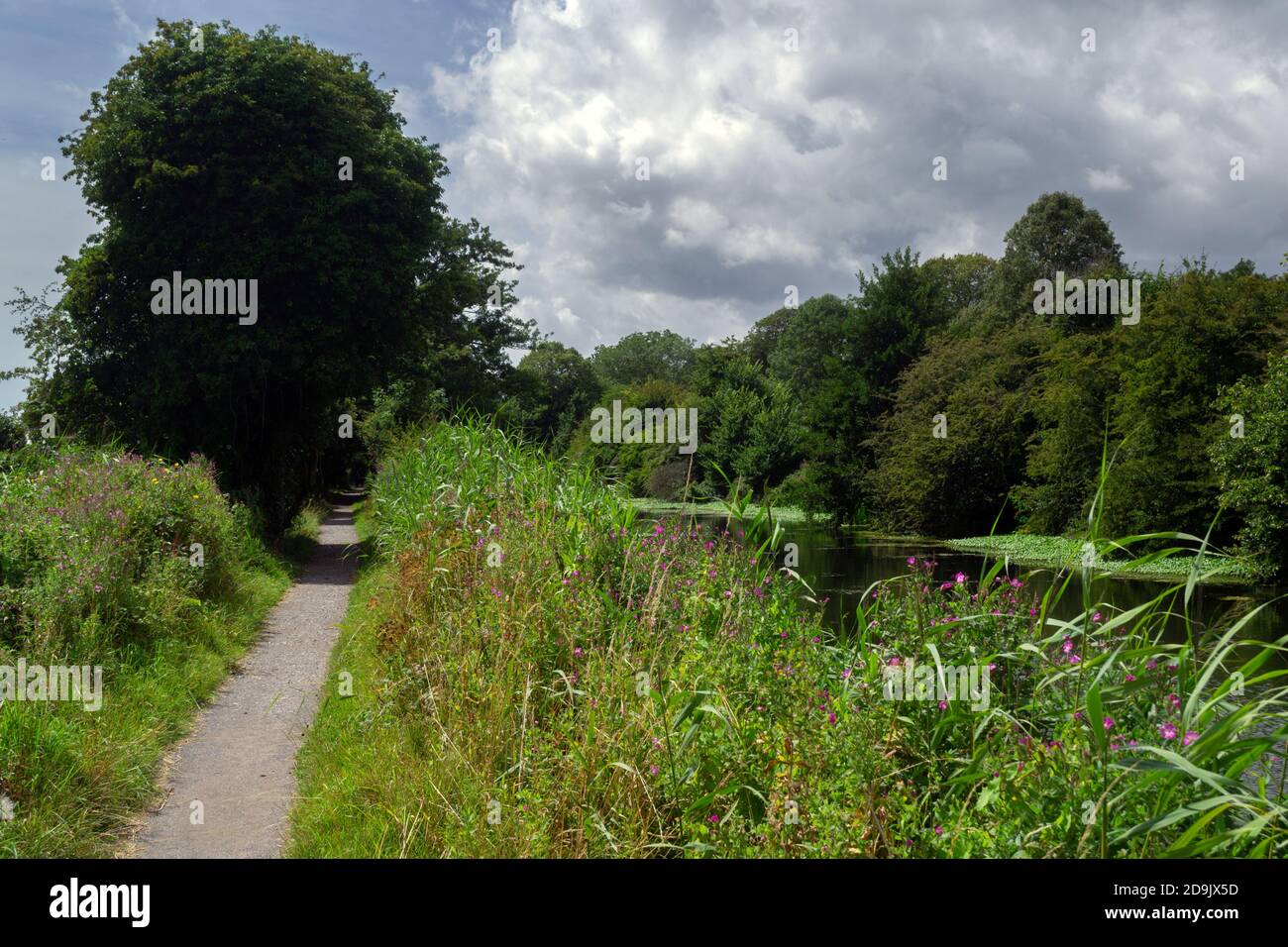 Royal military canal hi-res stock photography and images - Alamy