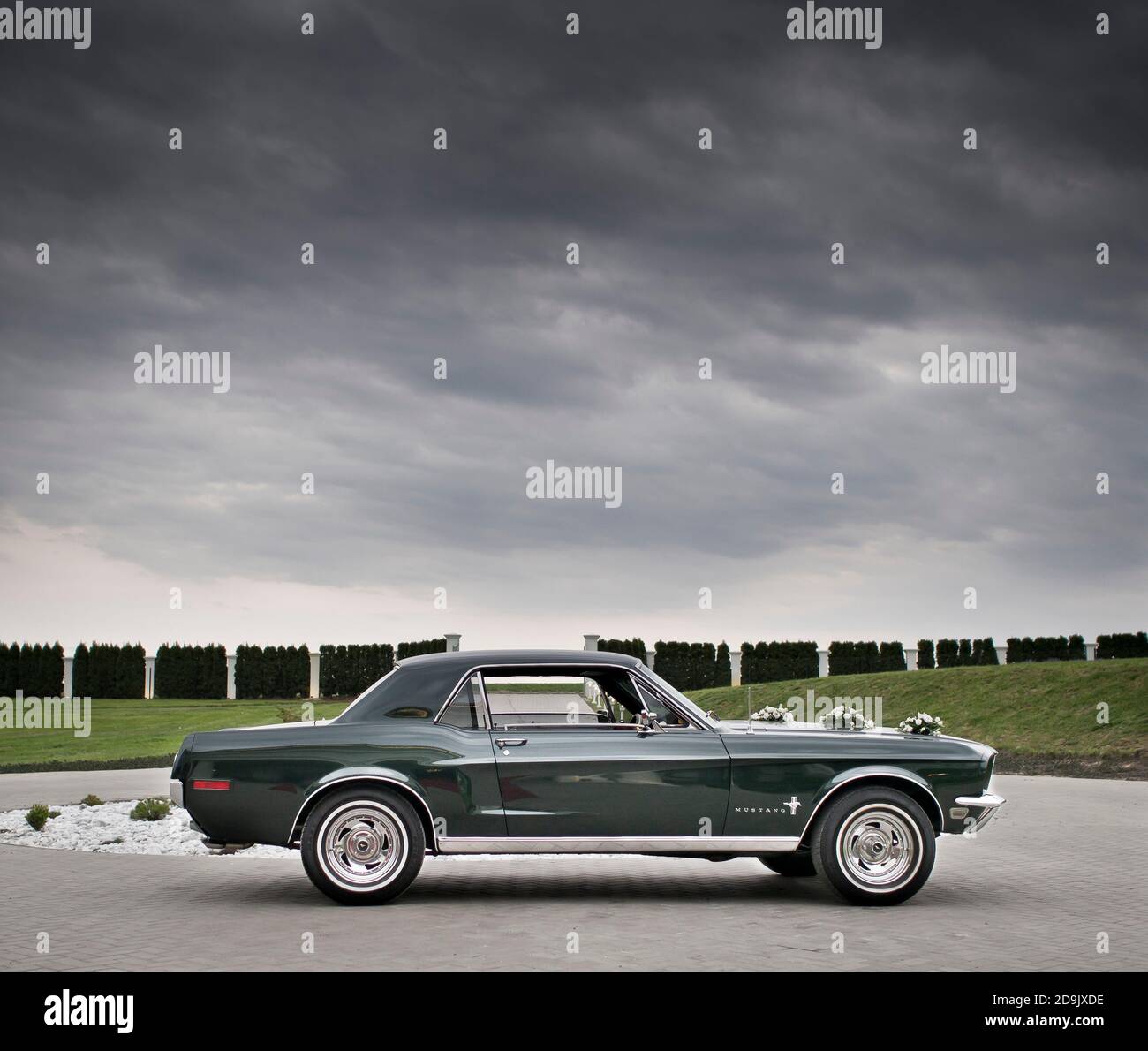 Car decorated with flowers hi-res stock photography and images - Alamy
