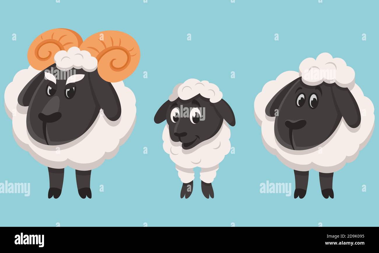 Sheep family in cartoon style. Farm animals of different sex and age ...
