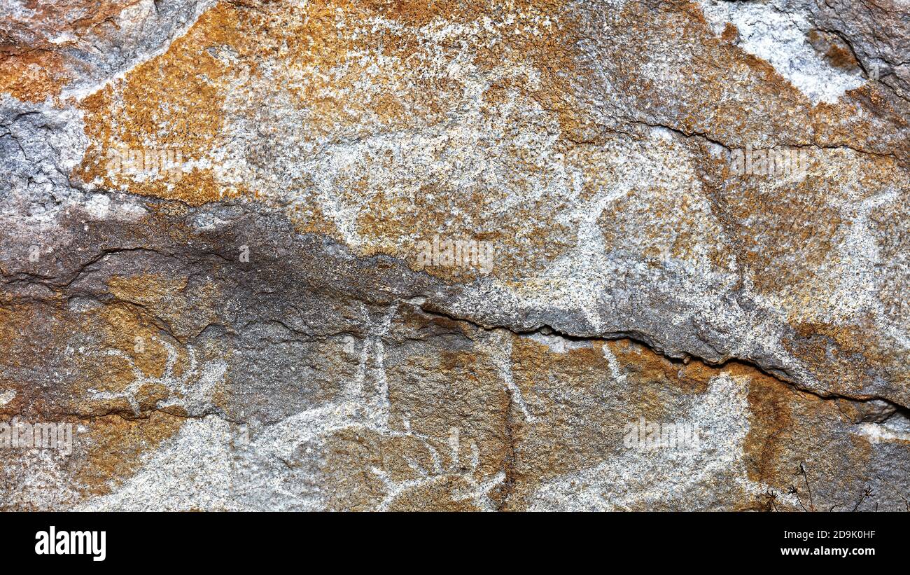 Rock paintings of ancient people. Image of ancient hunters with deer on ...