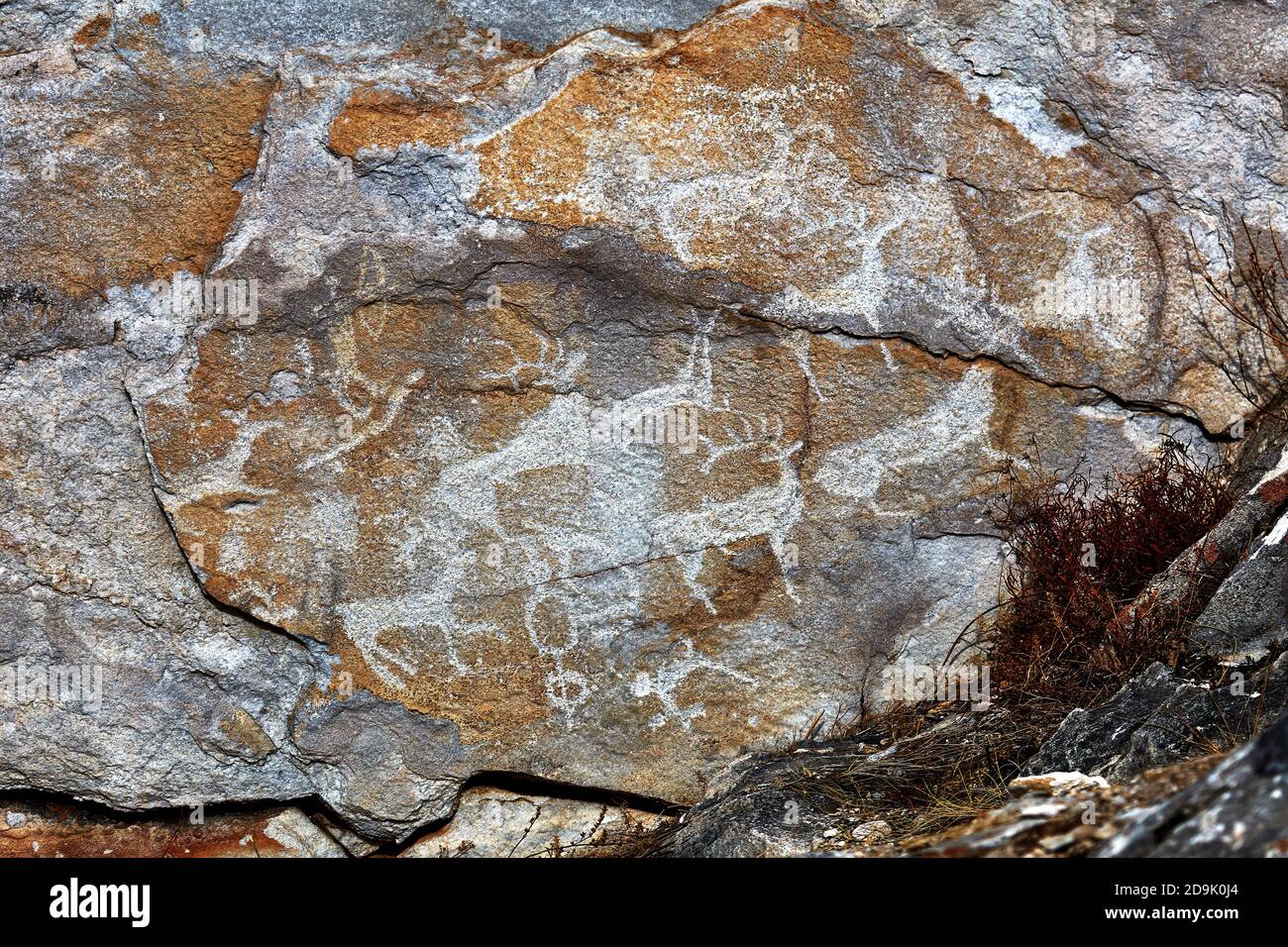 Rock paintings of ancient people. Image of ancient hunters with deer on ...