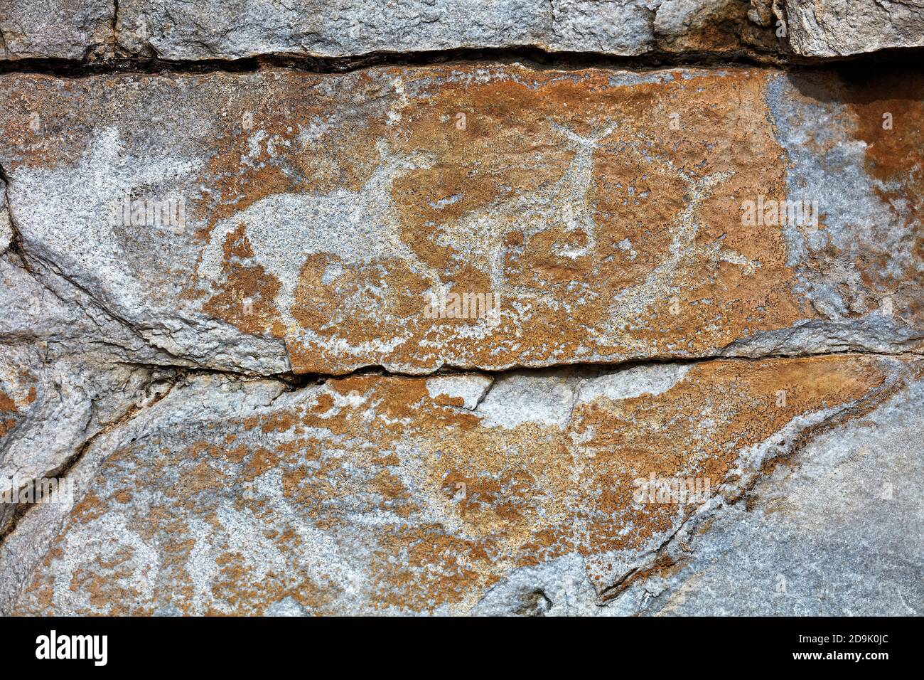 Rock paintings of ancient people. Image of ancient hunters with deer on ...
