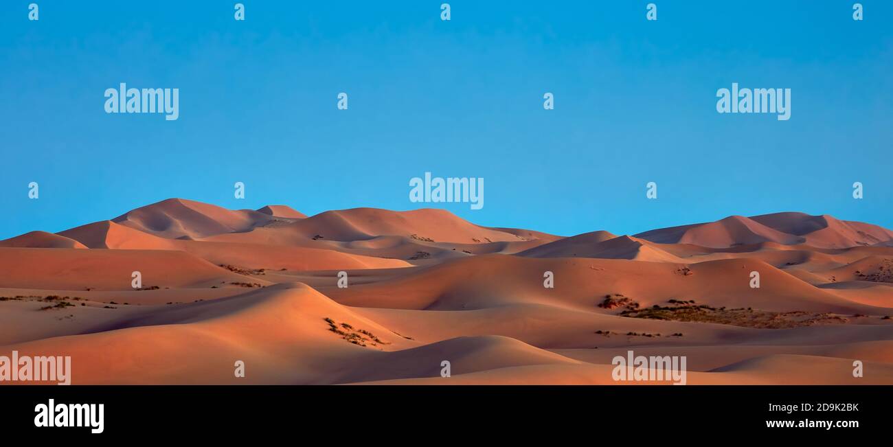Beautiful Sand dunes in the Gobi desert, Mongolia. View of the ...
