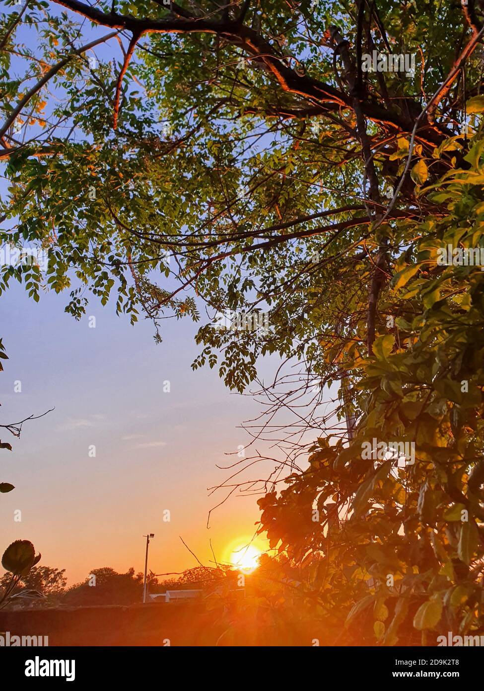 Low angle shot sunset sky hi-res stock photography and images - Alamy