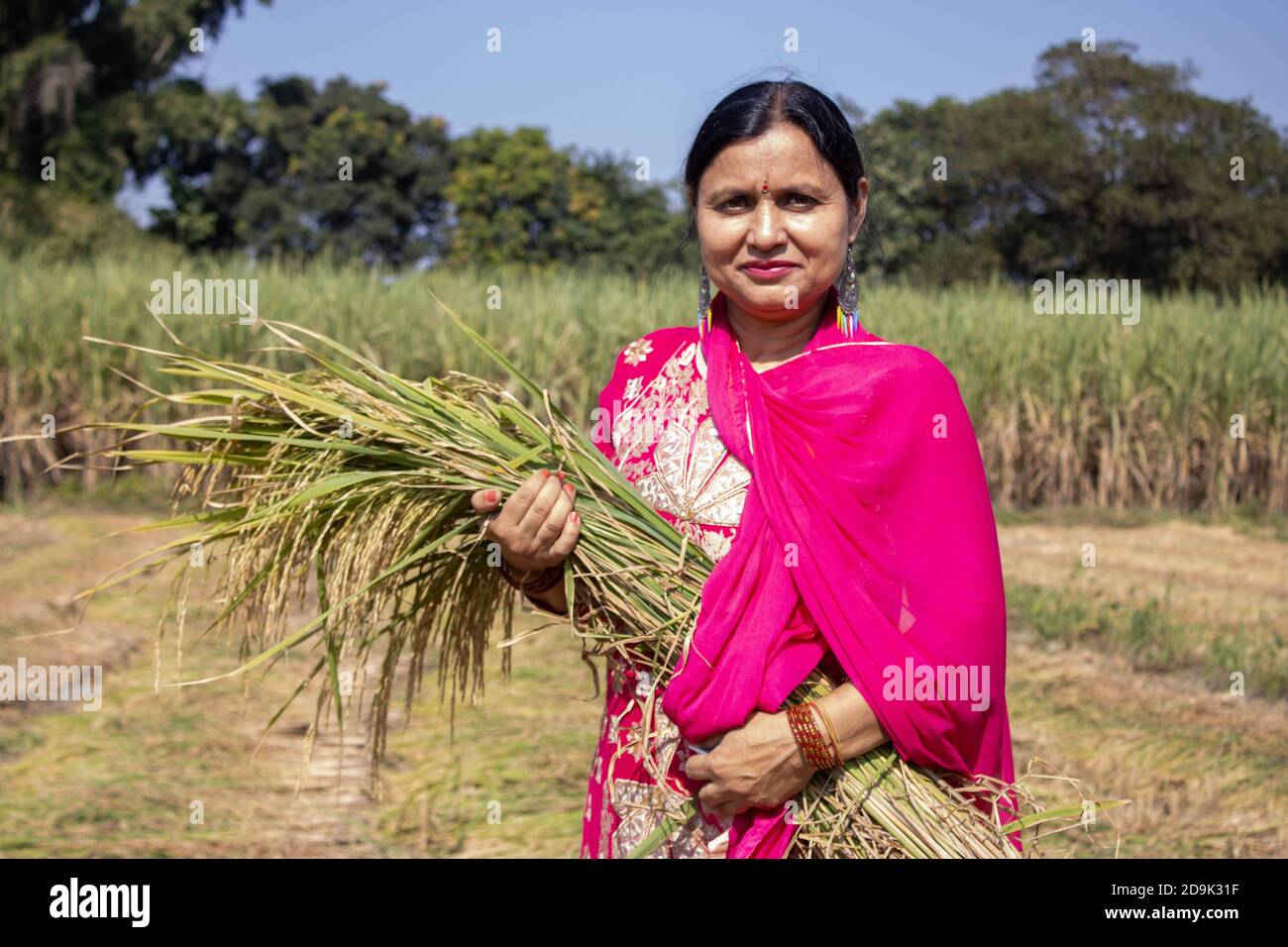 India rice paddy worker hi-res stock photography and images - Alamy