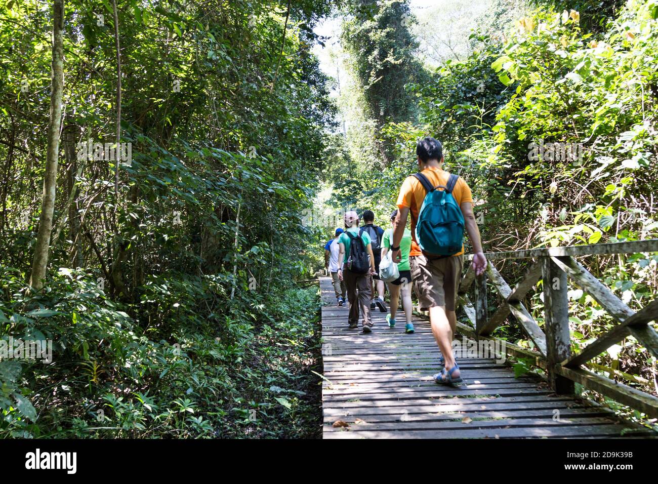 Group of people walking to Niah caves via plank path Stock Photo - Alamy