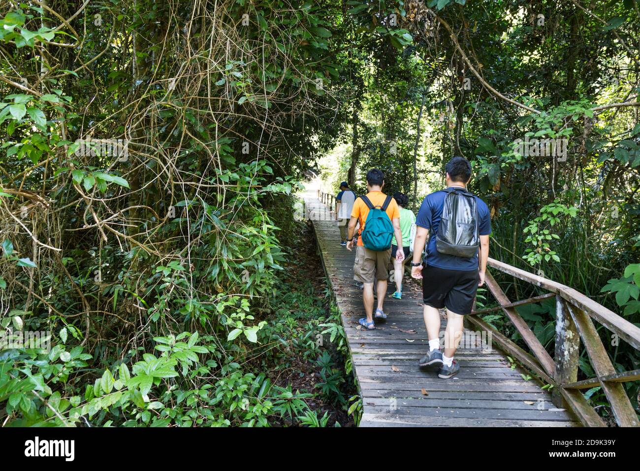 Group of people walking to Niah caves via plank path Stock Photo - Alamy