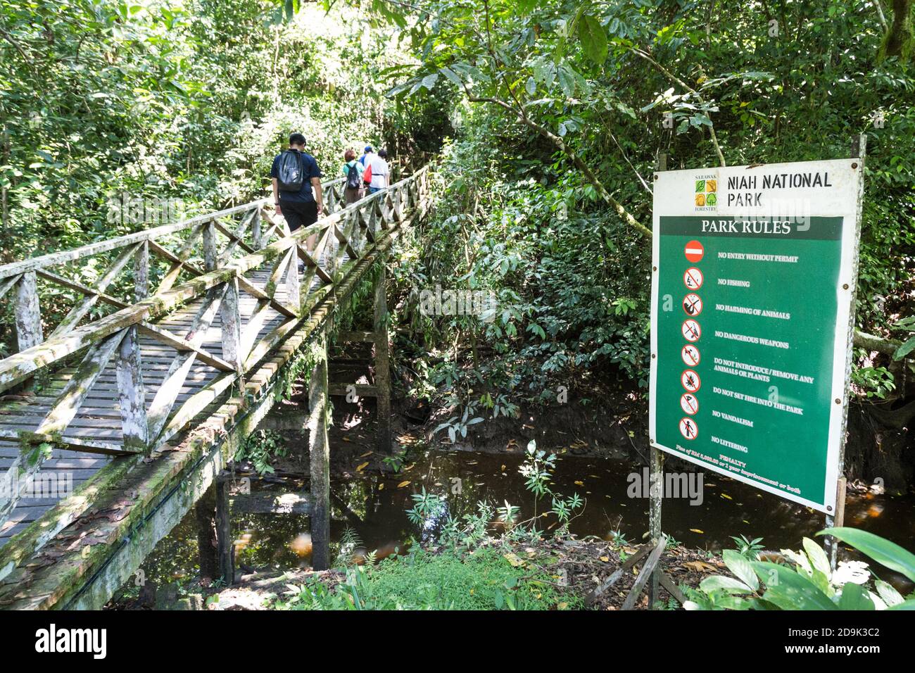 Group of people walking to Niah caves via plank path Stock Photo - Alamy