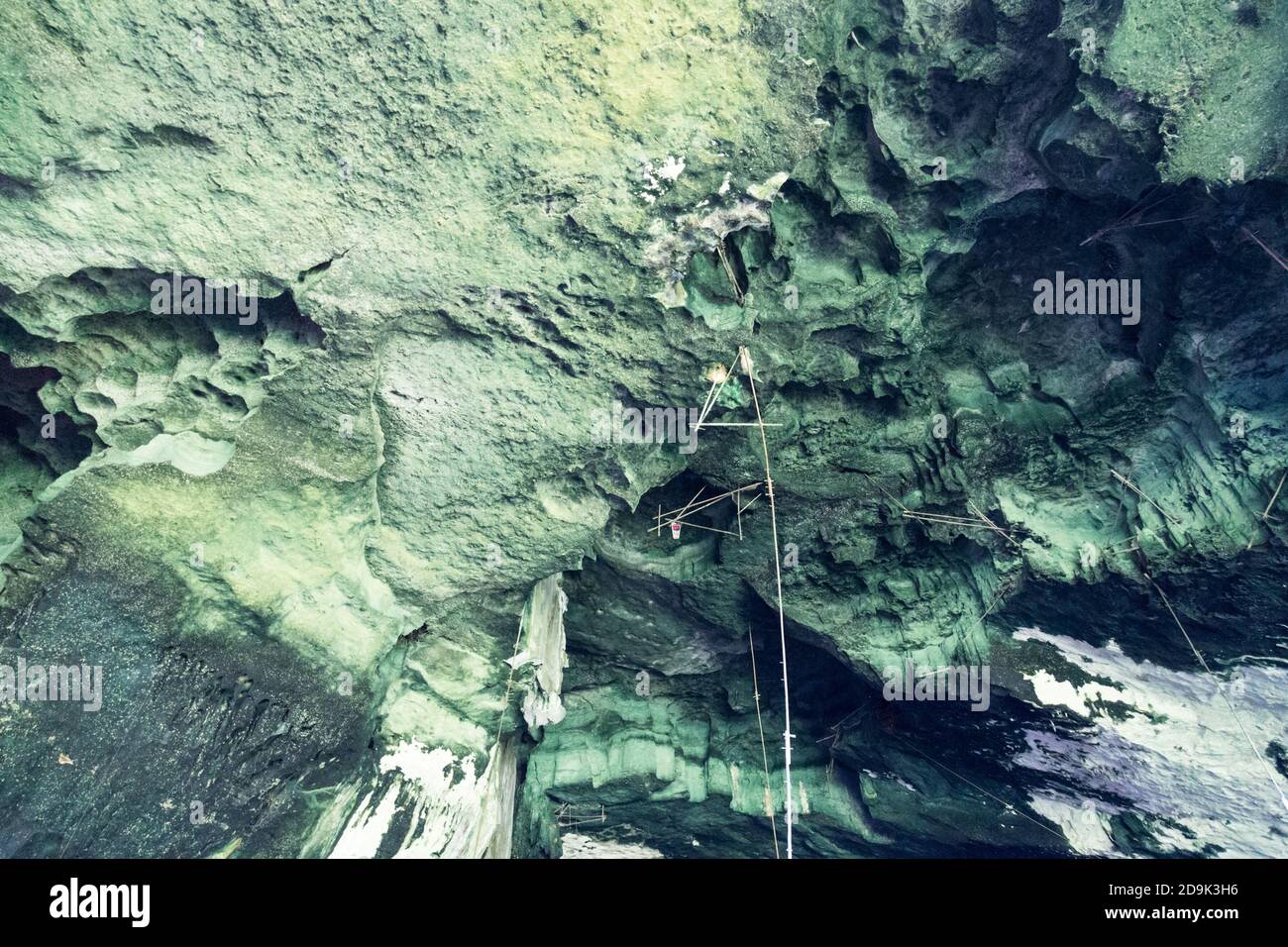 Tools to harvest bird's nest on cave ceiling, Niah Caves Stock Photo ...