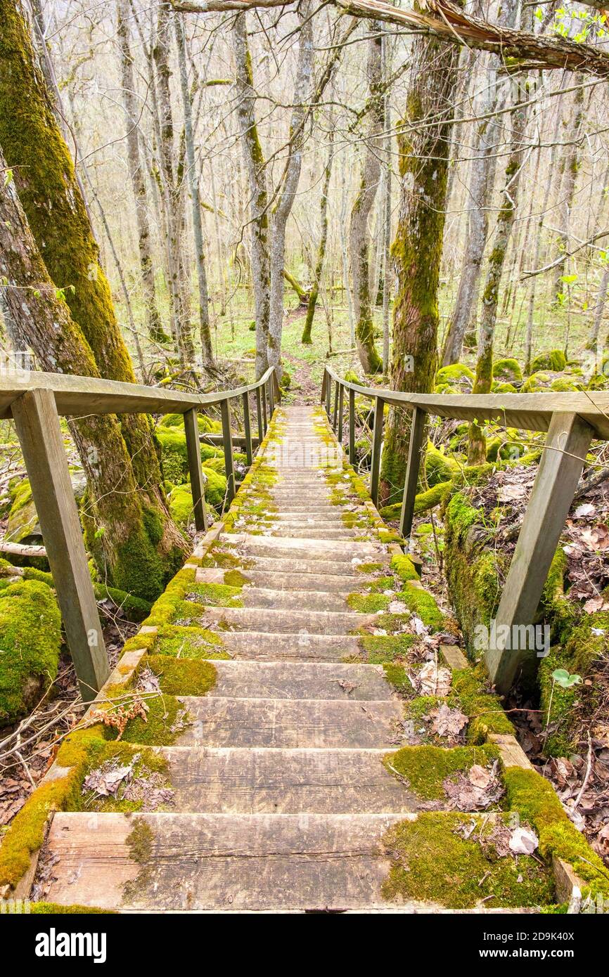 Sloping stair hi-res stock photography and images - Alamy