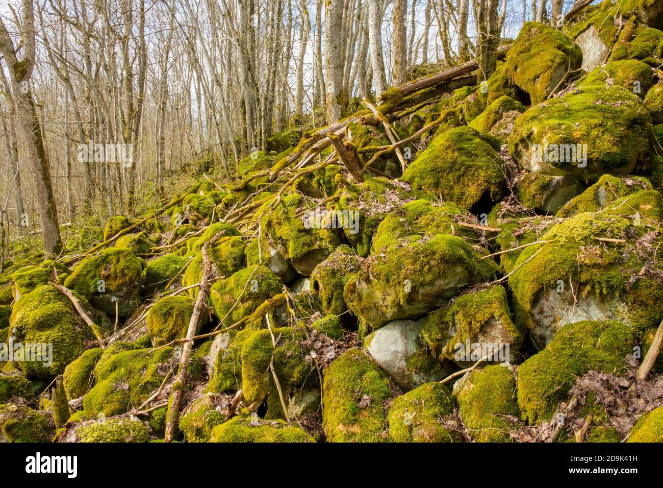 Block Field with green moss at a mountain slope Stock Photo - Alamy