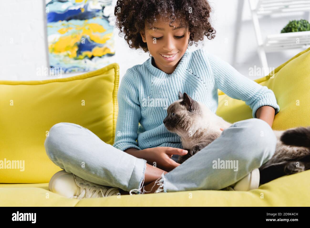 Cat with legs crossed hi-res stock photography and images - Alamy