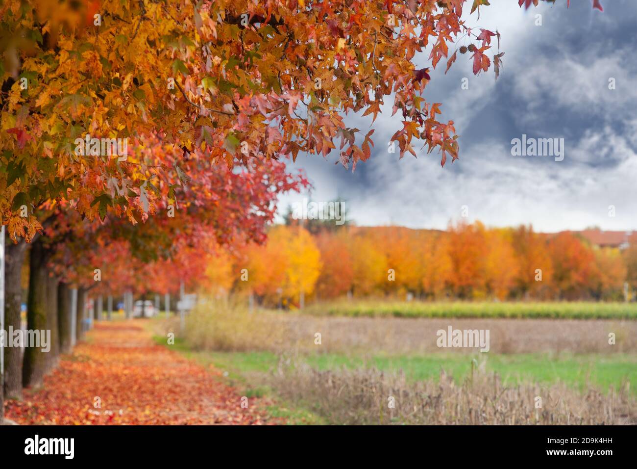 Autumn in Italy Stock Photo - Alamy