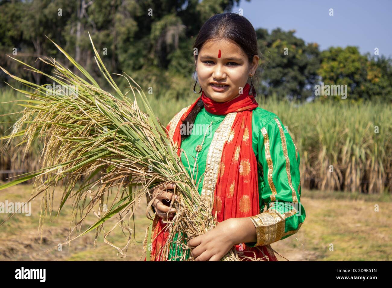 Thai rice girl hi-res stock photography and images - Alamy