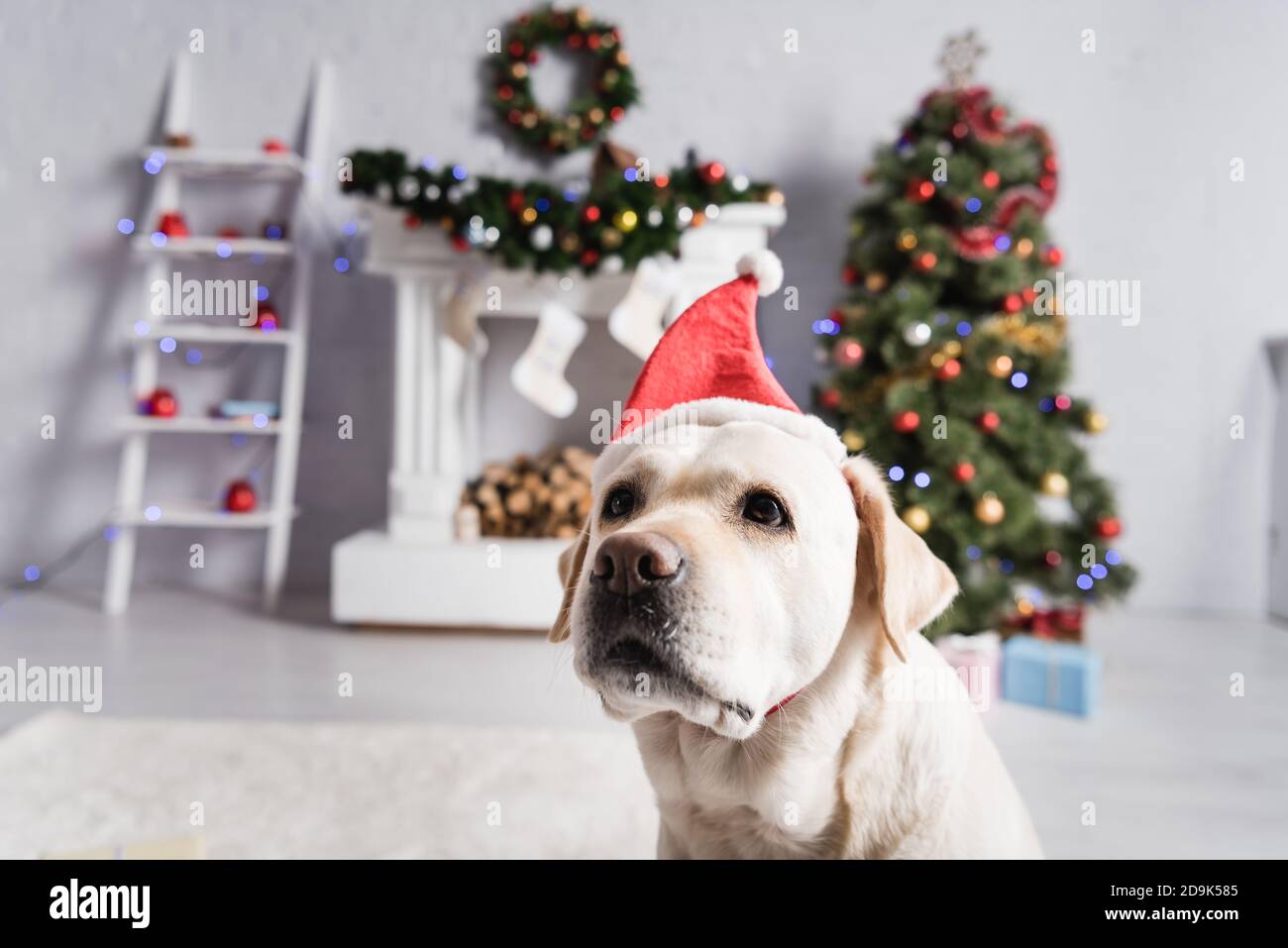 labrador dog in santa hat, decorated christmas tree and fireplace on ...