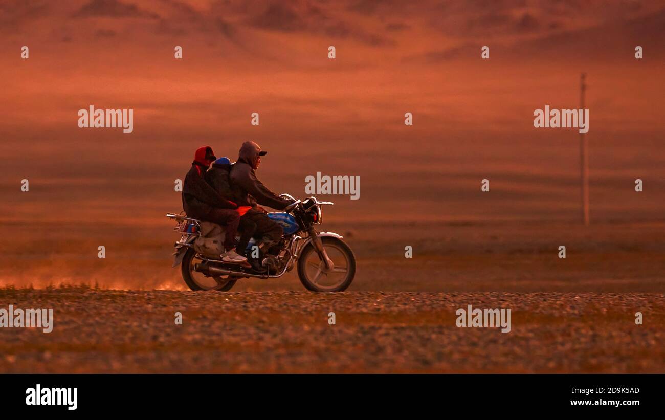 On a motorcycle in the Gobi desert. Dust from under the wheels. Wild ...
