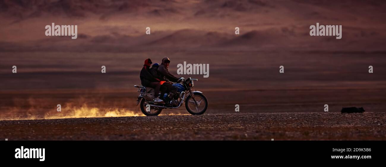 On a motorcycle in the Gobi desert. Dust from under the wheels. Wild ...