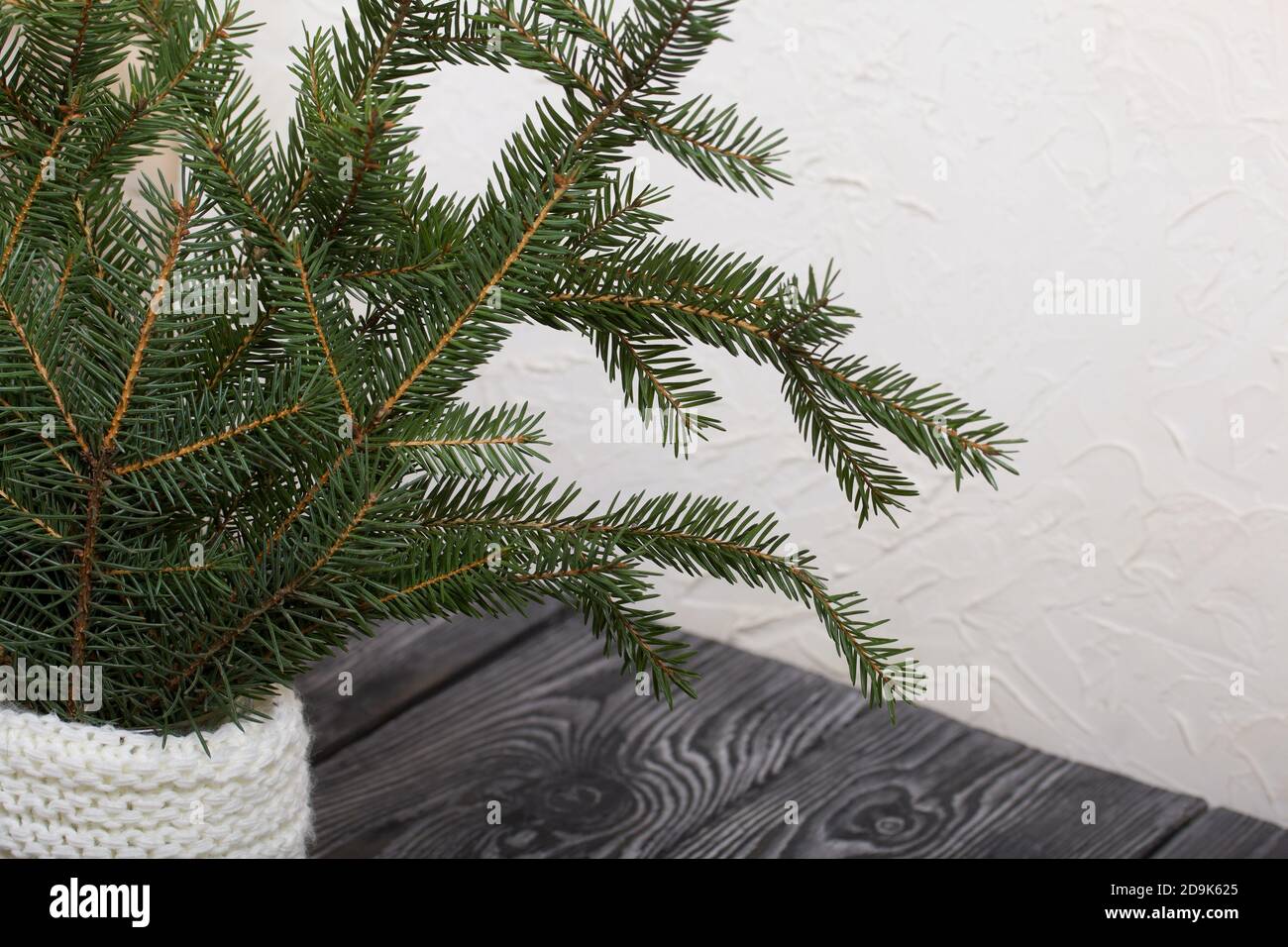 Branches of green spruce stand on pine boards. Against a background of ...