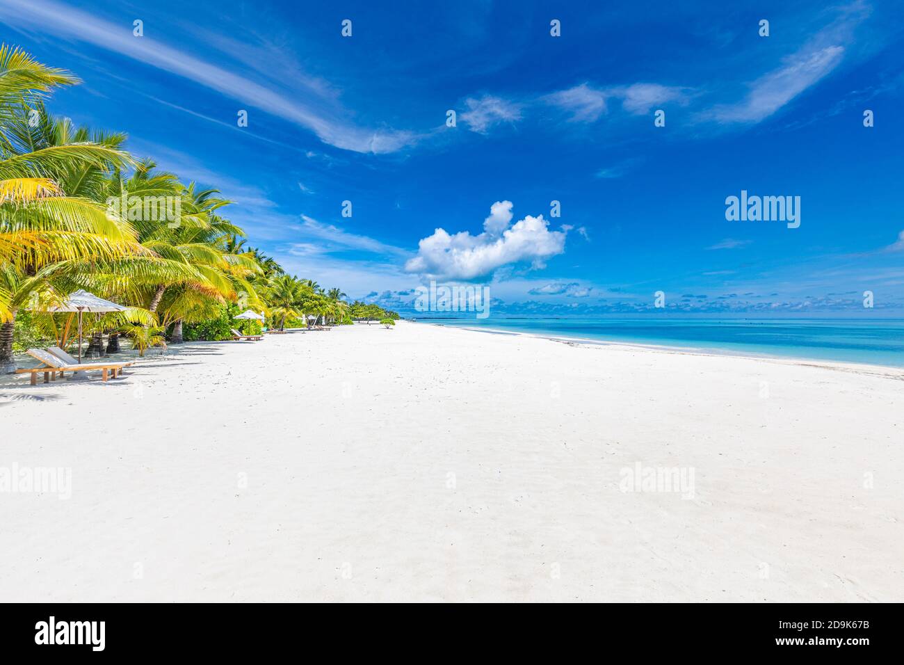 Sunlight sunny tourism travel tree tropical vacation water hi-res stock ...
